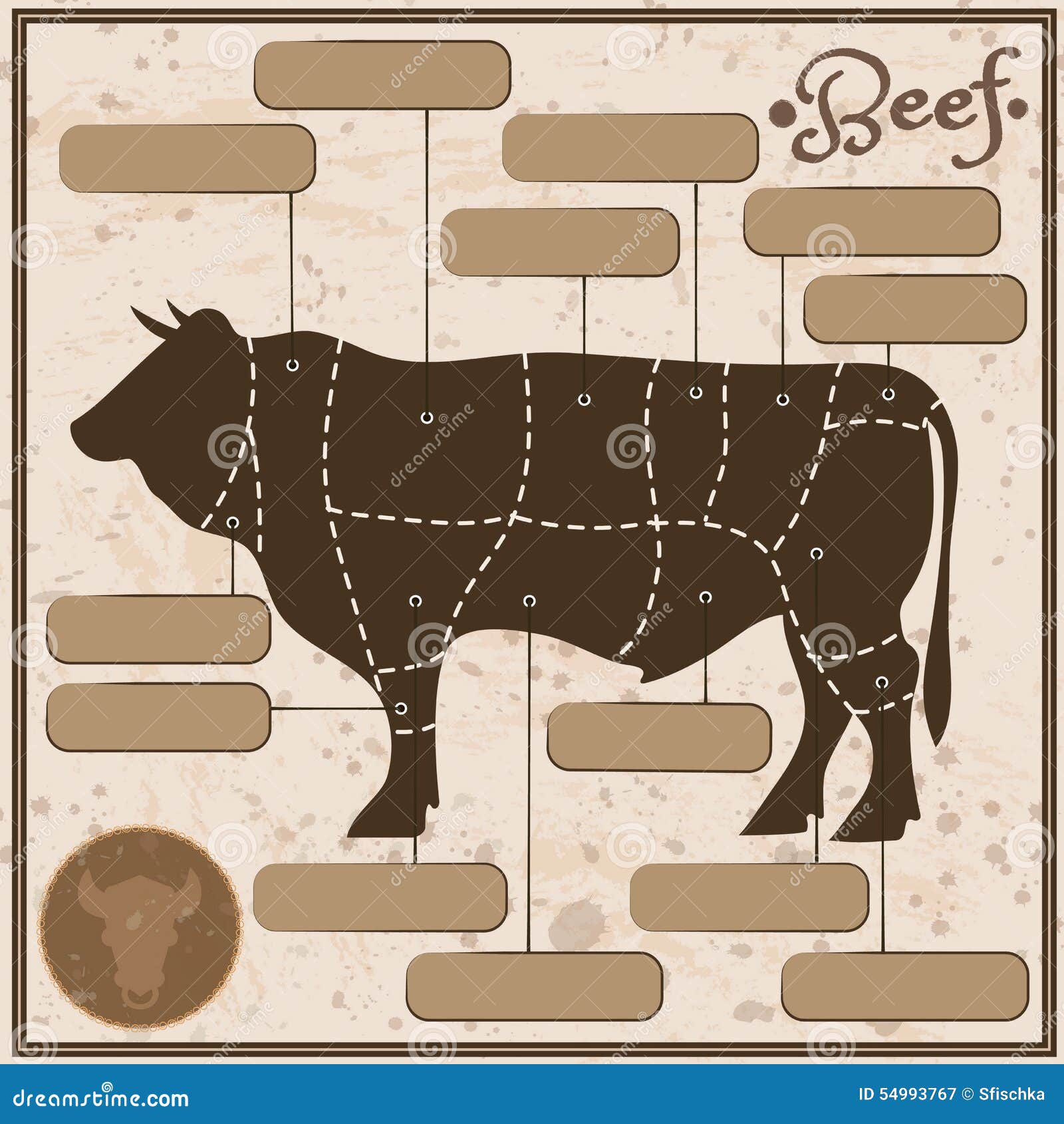 Cow, Beef. Scheme, Diagram, Chart Pork, Butcher Guide Vector ...