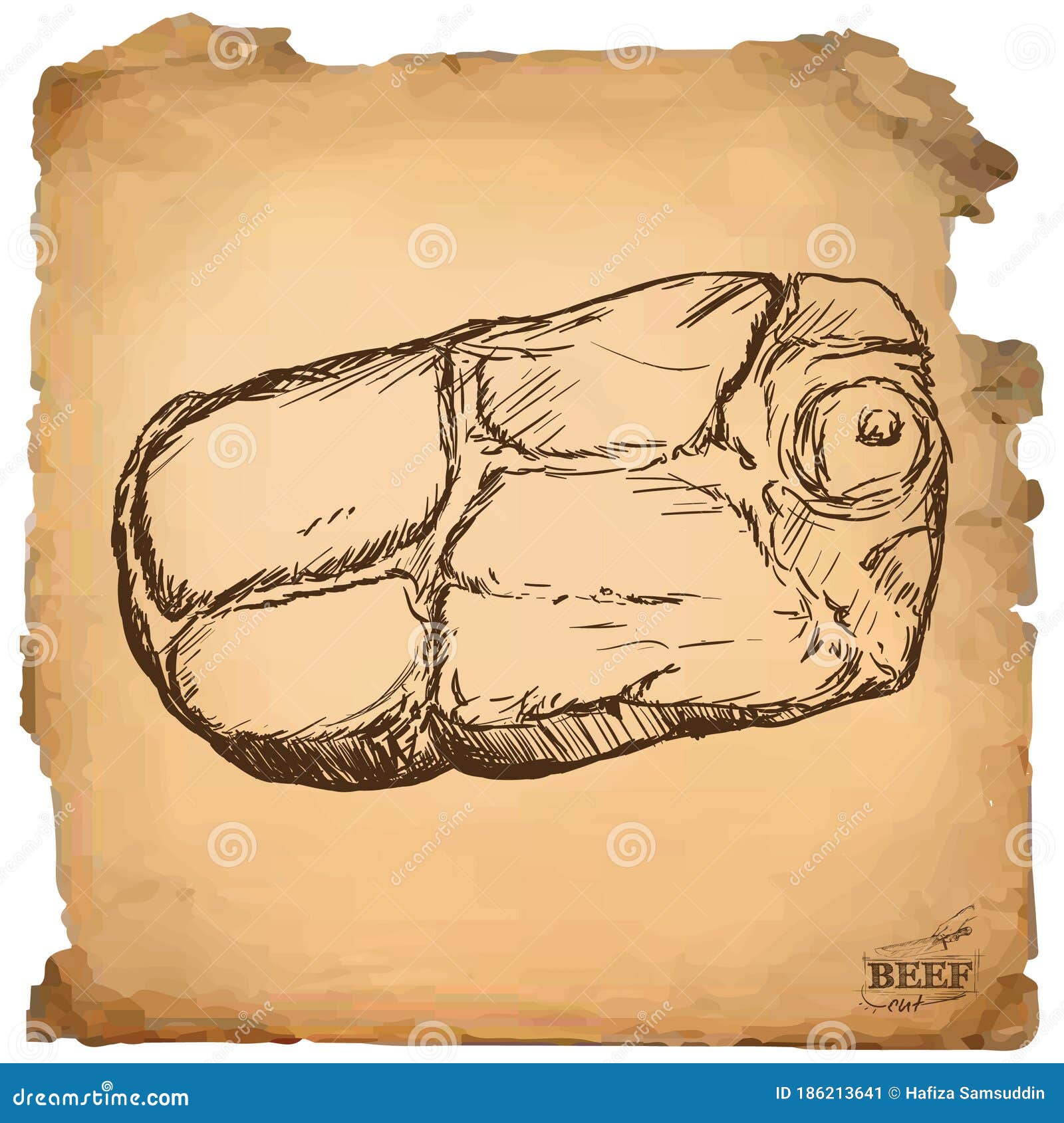 Beef Shank Cut. Vector Illustration Decorative Design Stock Vector ...