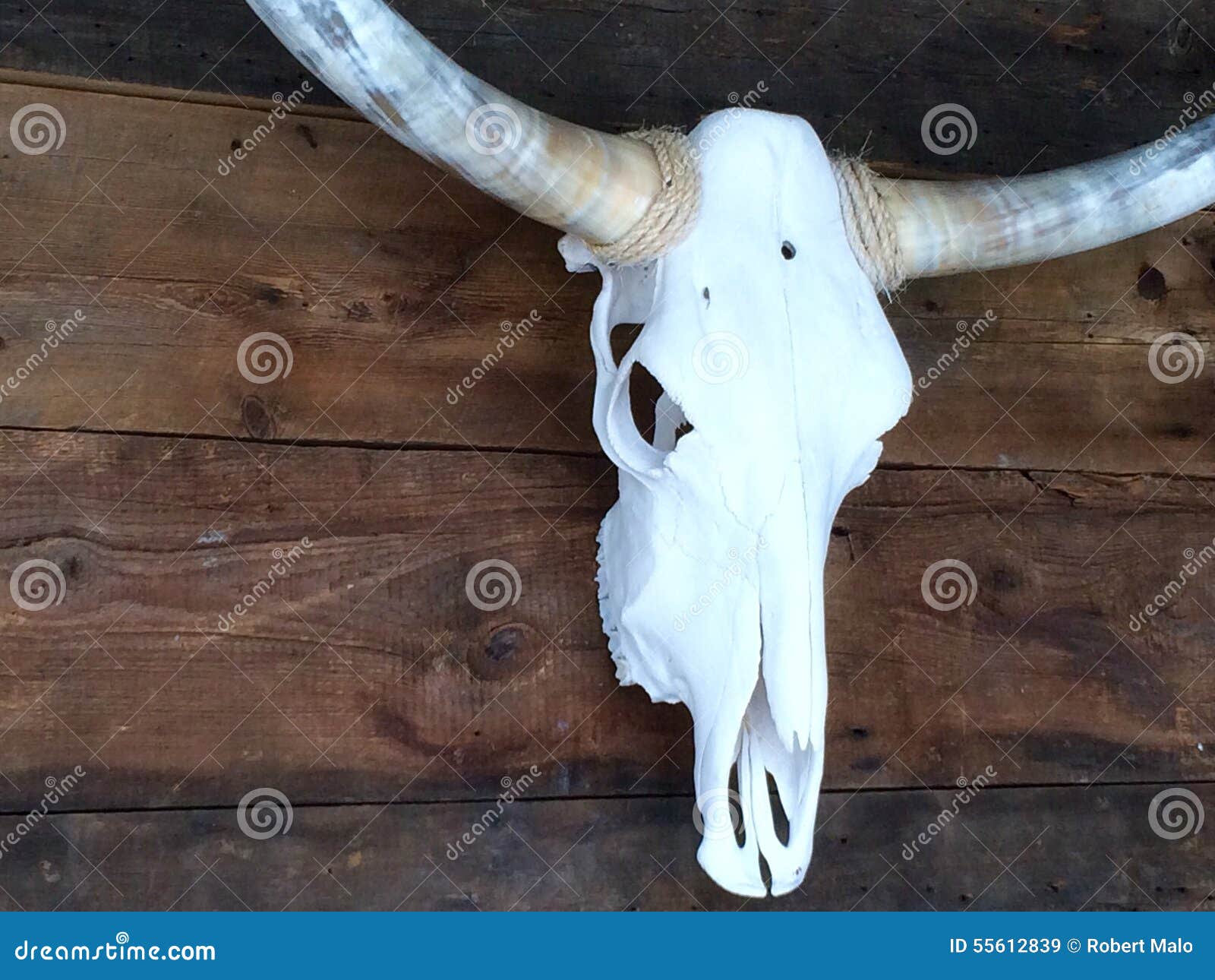 Beef steak stock image. Image of beef, meals, steak, skull - 55612839