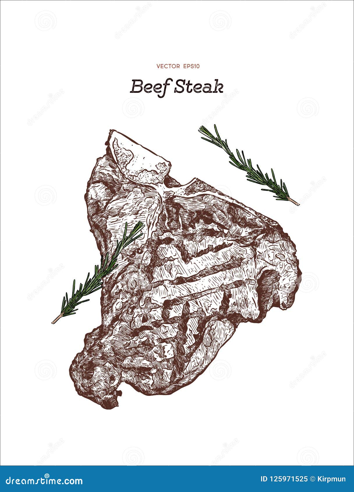 Beef Steak, Hand Draw Sketch Vector. Stock Vector - Illustration of ...