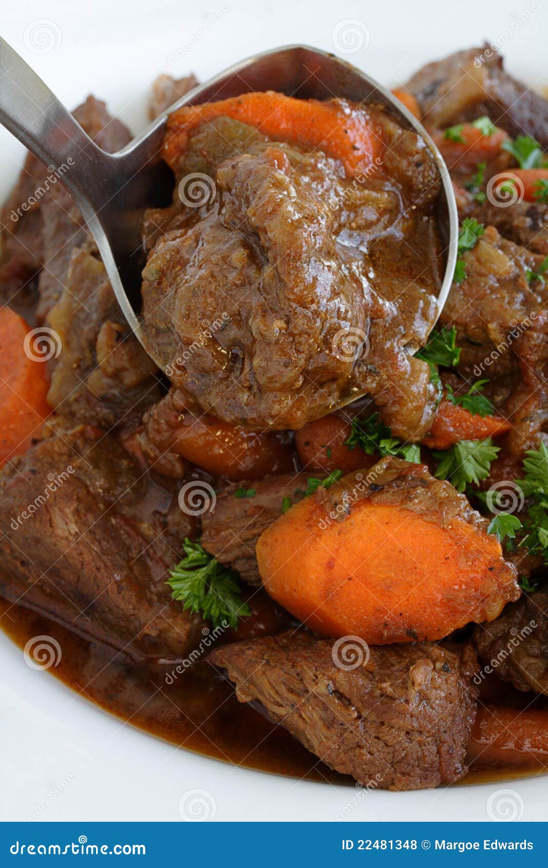 Beef stew stock photo. Image of stew, onion, black, meat - 22481348