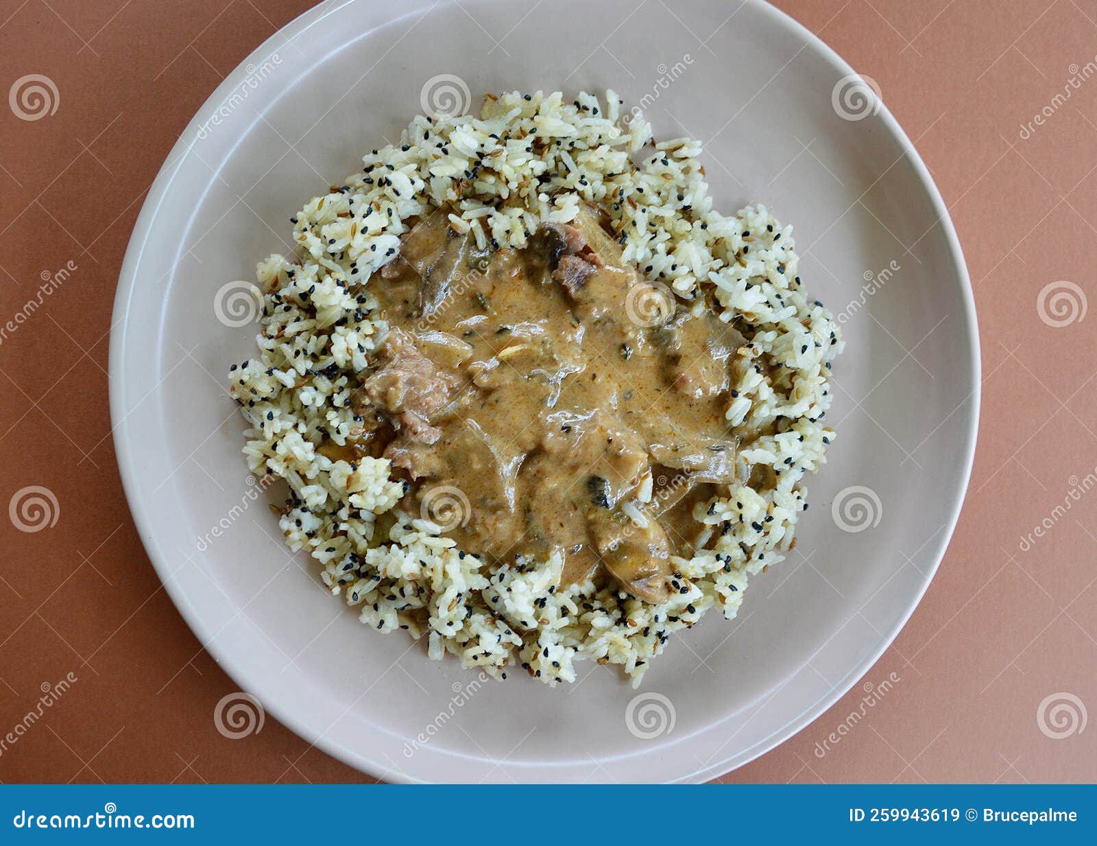 Beef Stroganoff with rice stock image. Image of beef - 259943619