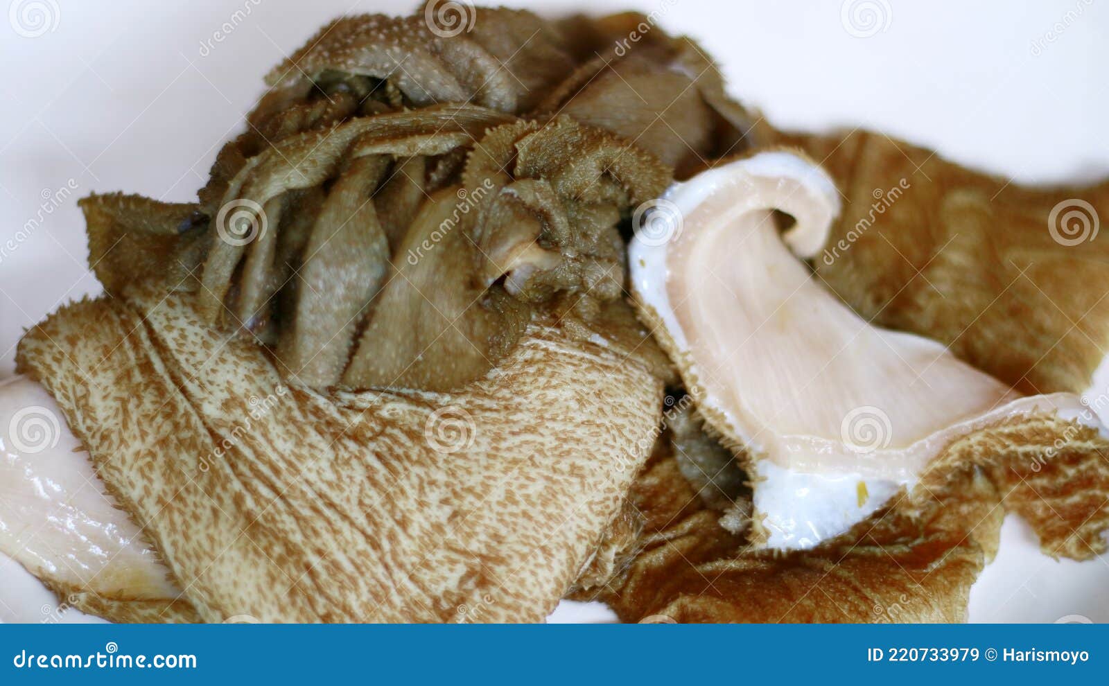 Beef tripe stock image. Image of jeroan, food, beef - 220733979