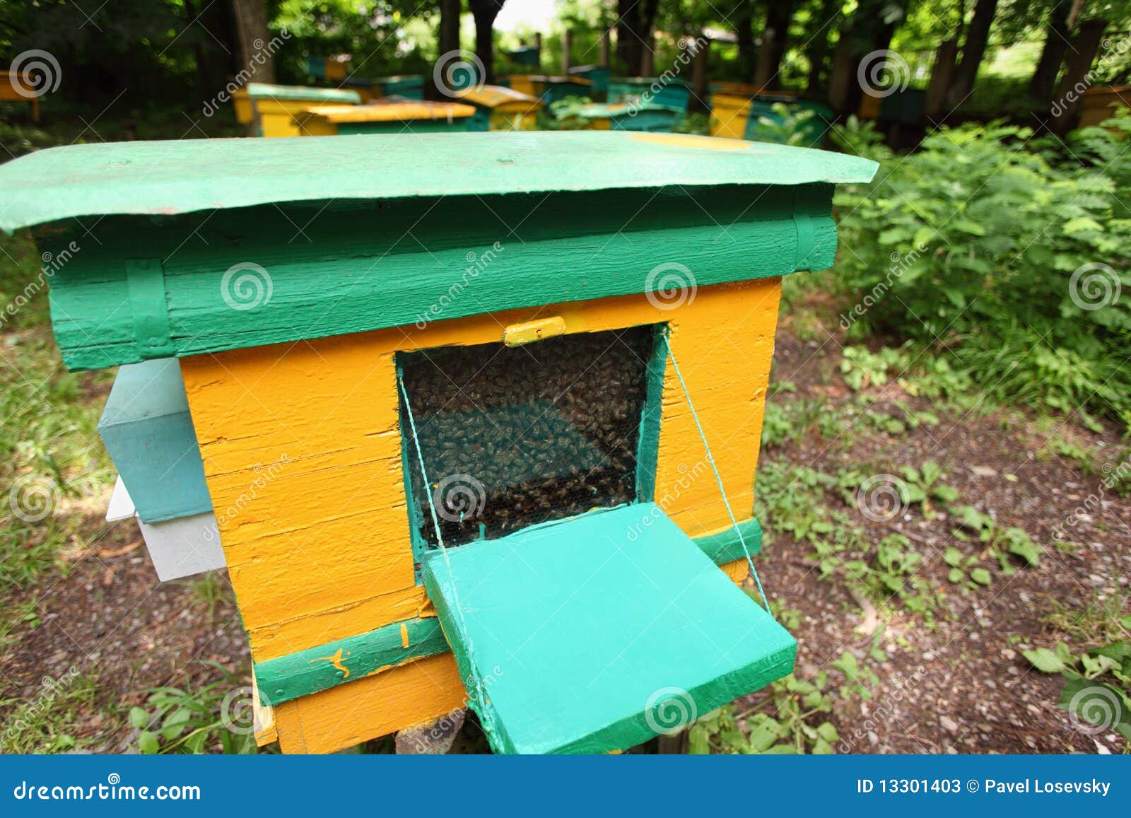 Beegarden. a One Old Beehive in Focus Stock Image - Image of beehives ...
