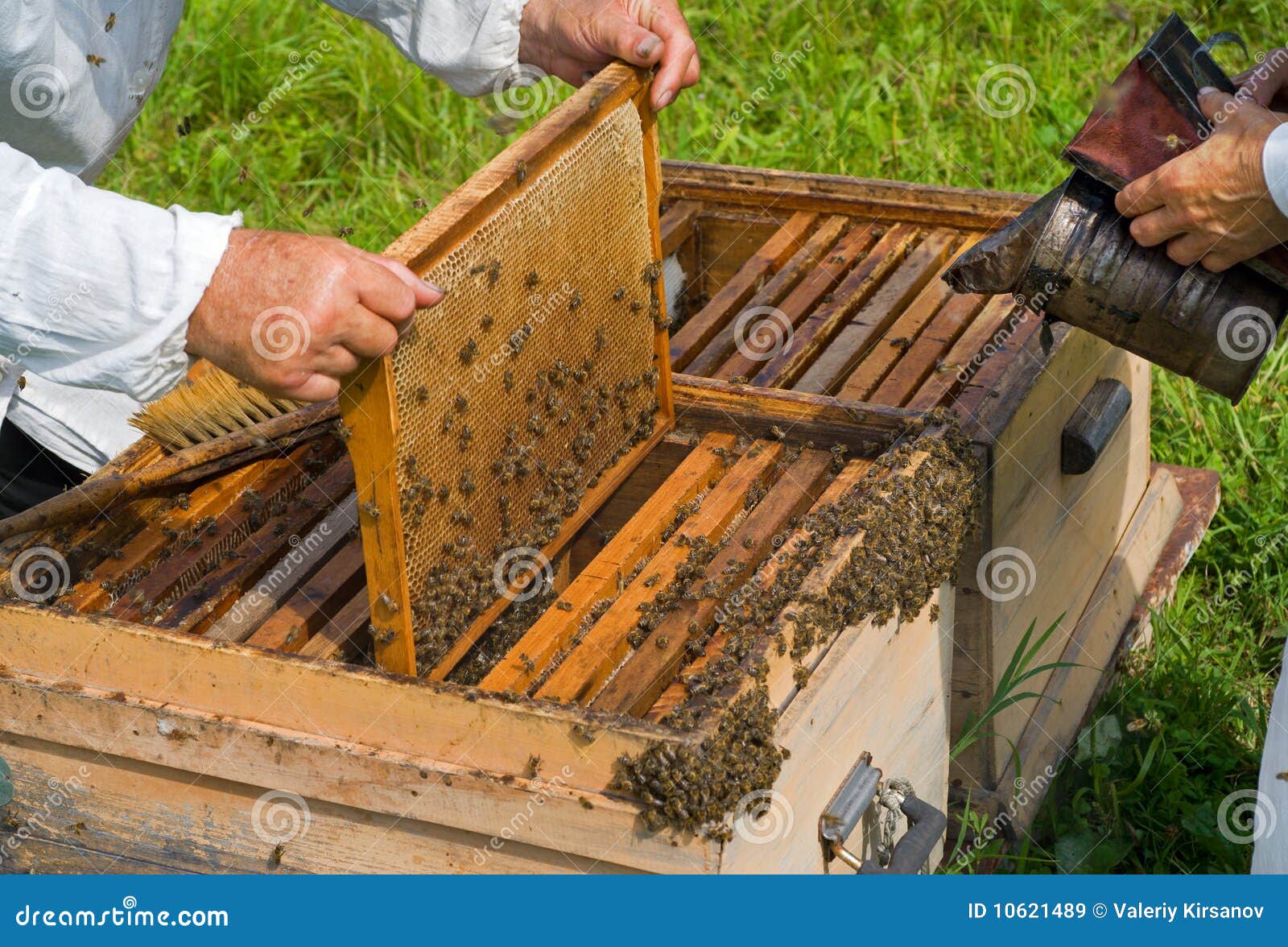 Beehive 1 stock image. Image of beekeeping, people, beeswax - 10621489