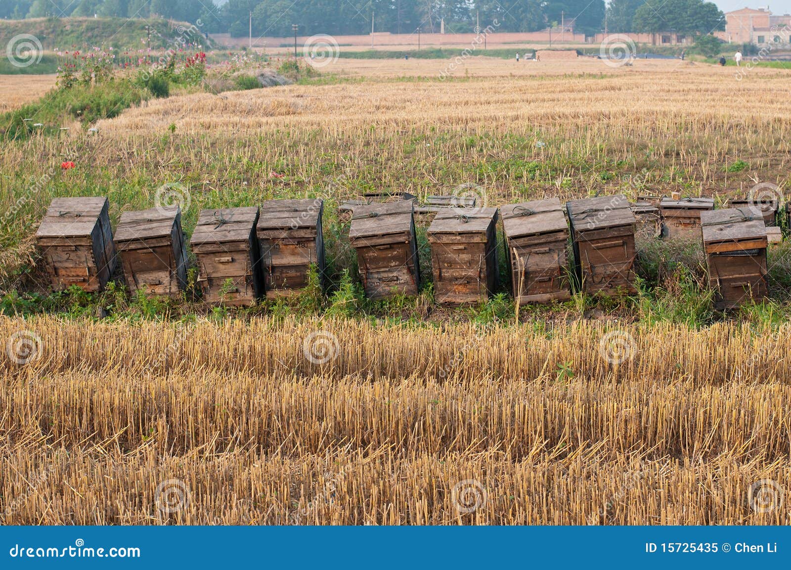 Beehive stock image. Image of chinese, beehive, boxes - 15725435