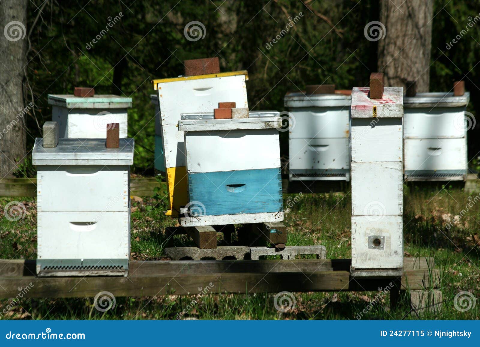 Beehive stock image. Image of bees, buildings, nature - 24277115