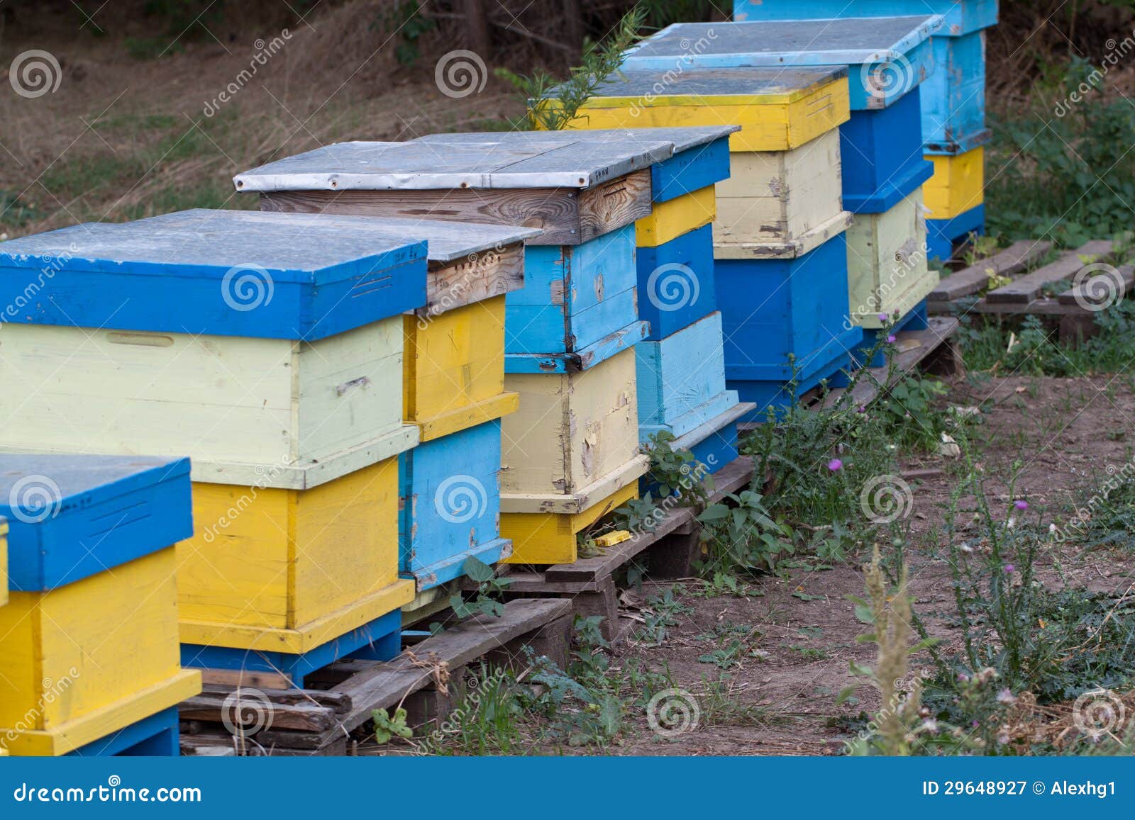 Beehive stock image. Image of nature, wood, hive, colorful - 29648927