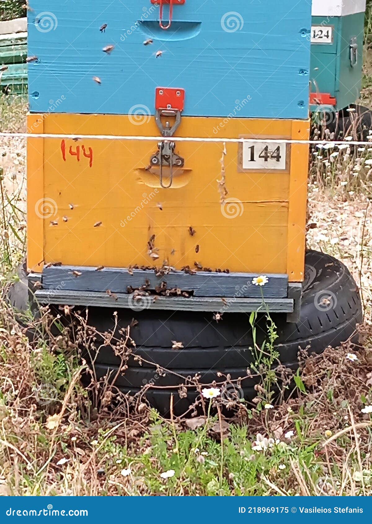 Beehive with Beautiful Colour Stock Image - Image of nature, honey ...