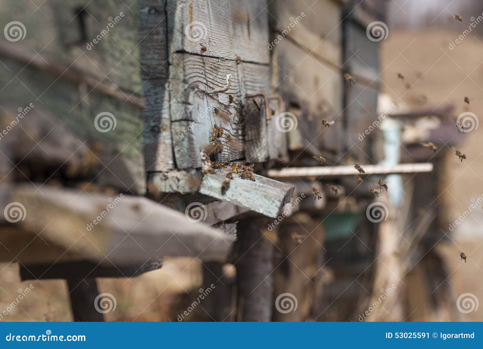 Beehive stock image. Image of beehive, honey, bees, beekeeping - 53025591