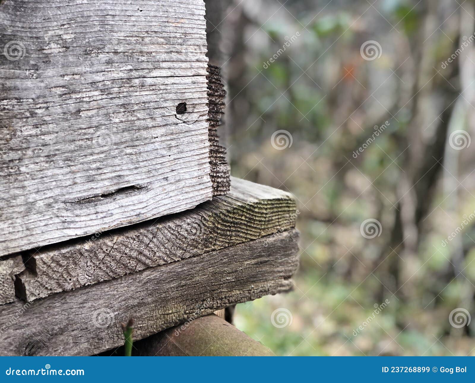 Beehive. Bee Home Made of Wood Stock Image - Image of branch, soil ...