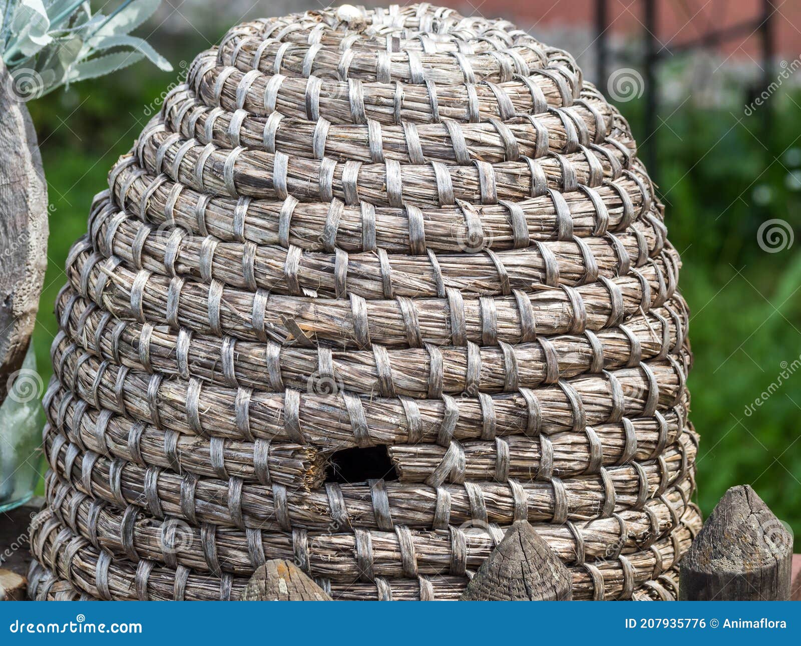 Beehive of a Beekeeper in the Garden Stock Photo - Image of apiary ...