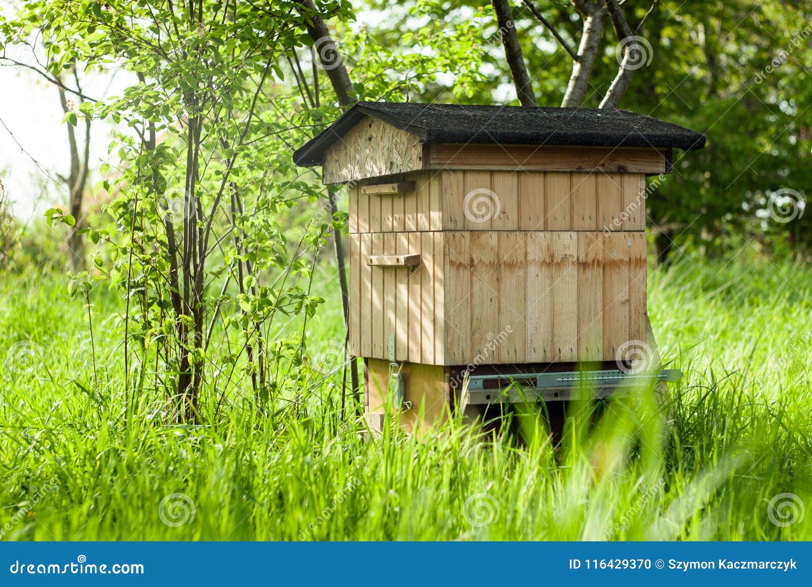 The Beehive, Home To The Honeybee Royalty-Free Stock Photo ...