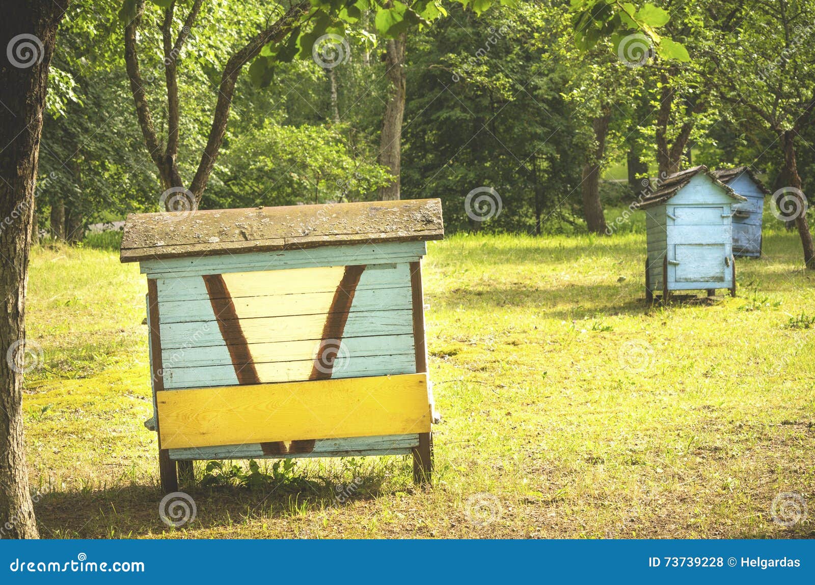 Beehive stock photo. Image of apiculture, wood, animals - 73739228