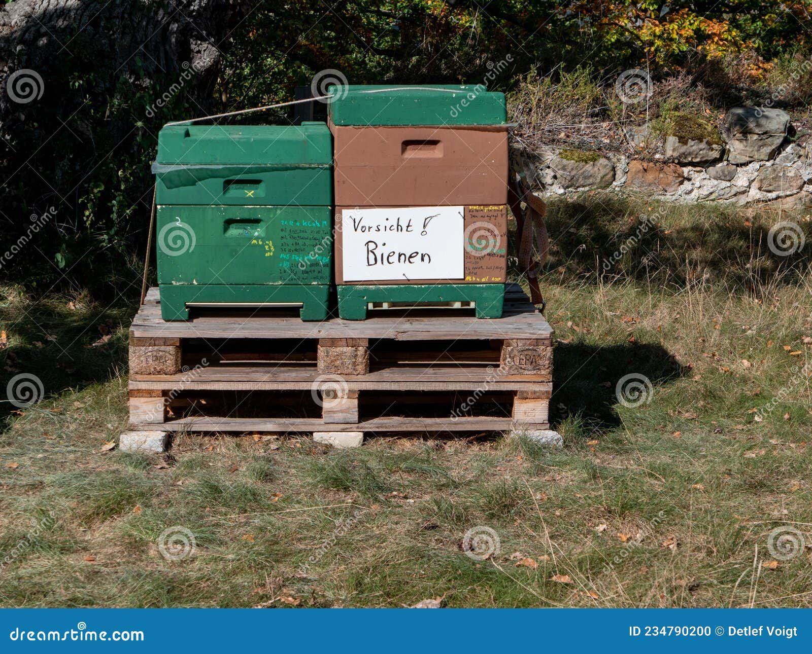 Beehive in boxes stock photo. Image of liquid, apiary - 234790200
