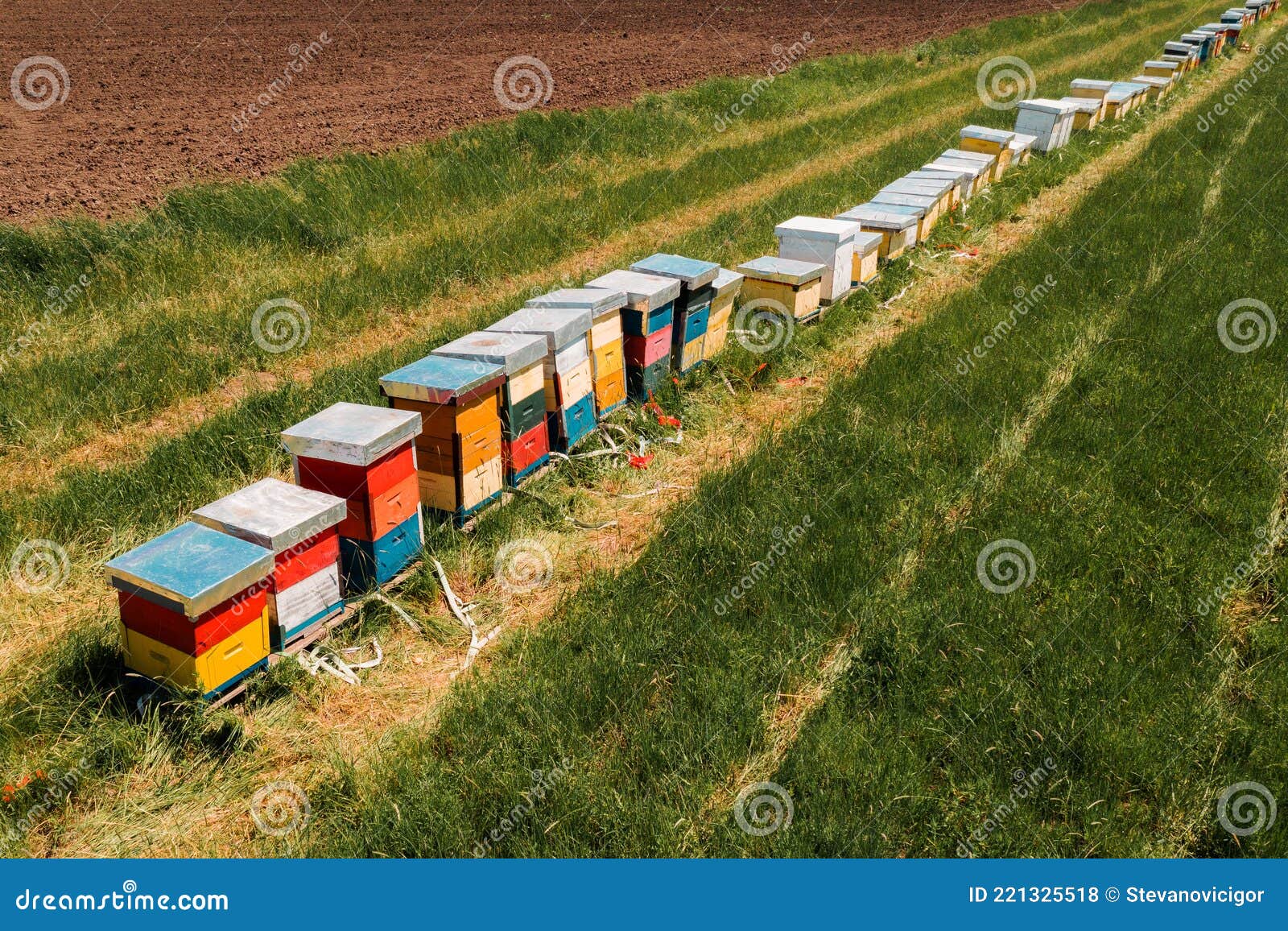 Beehive Boxes in Grassy Meadow, Aerial View Drone Footage Stock Photo ...