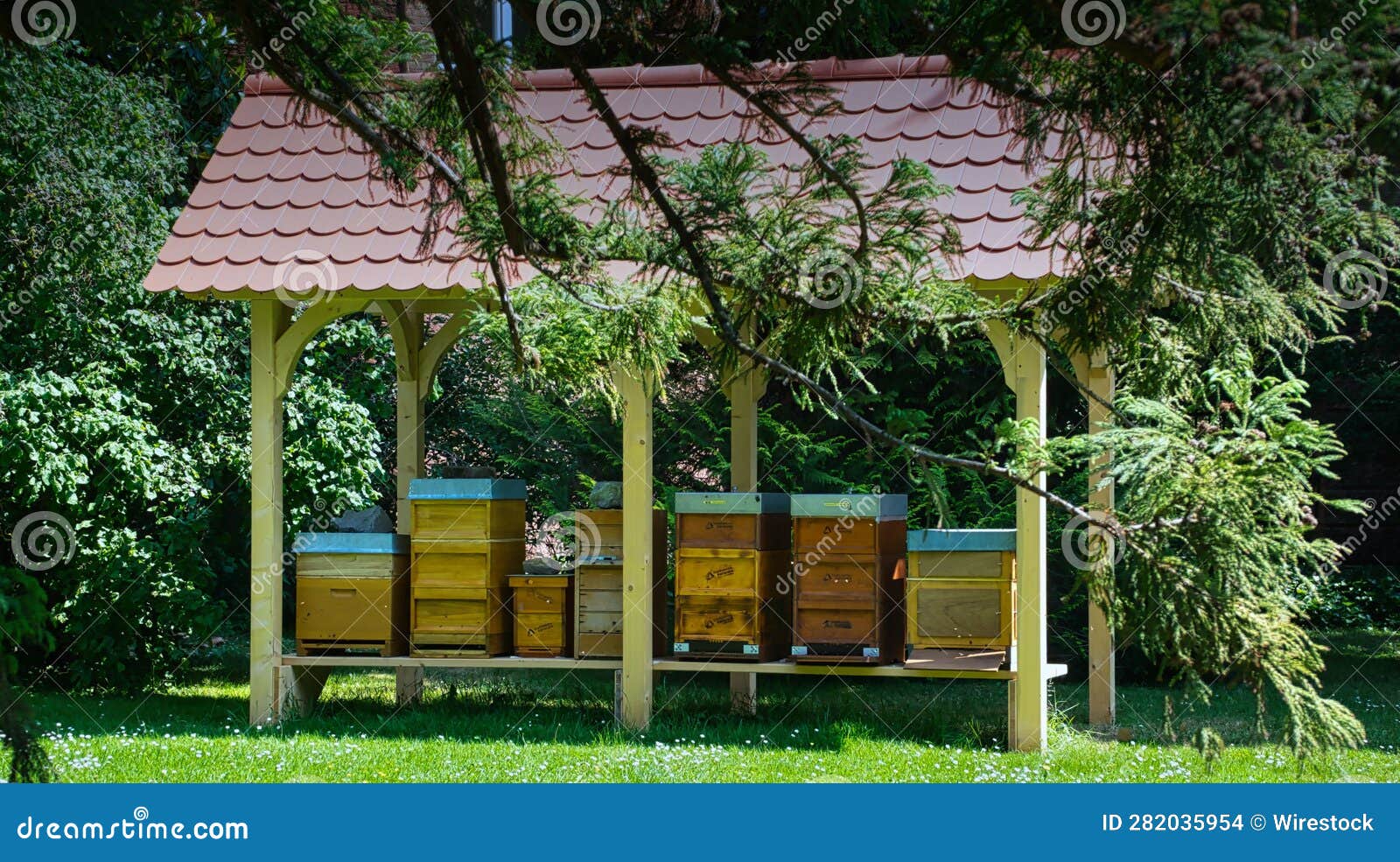 Beehive Boxes Nestled among Lush Green Trees in a Yard Editorial Stock ...