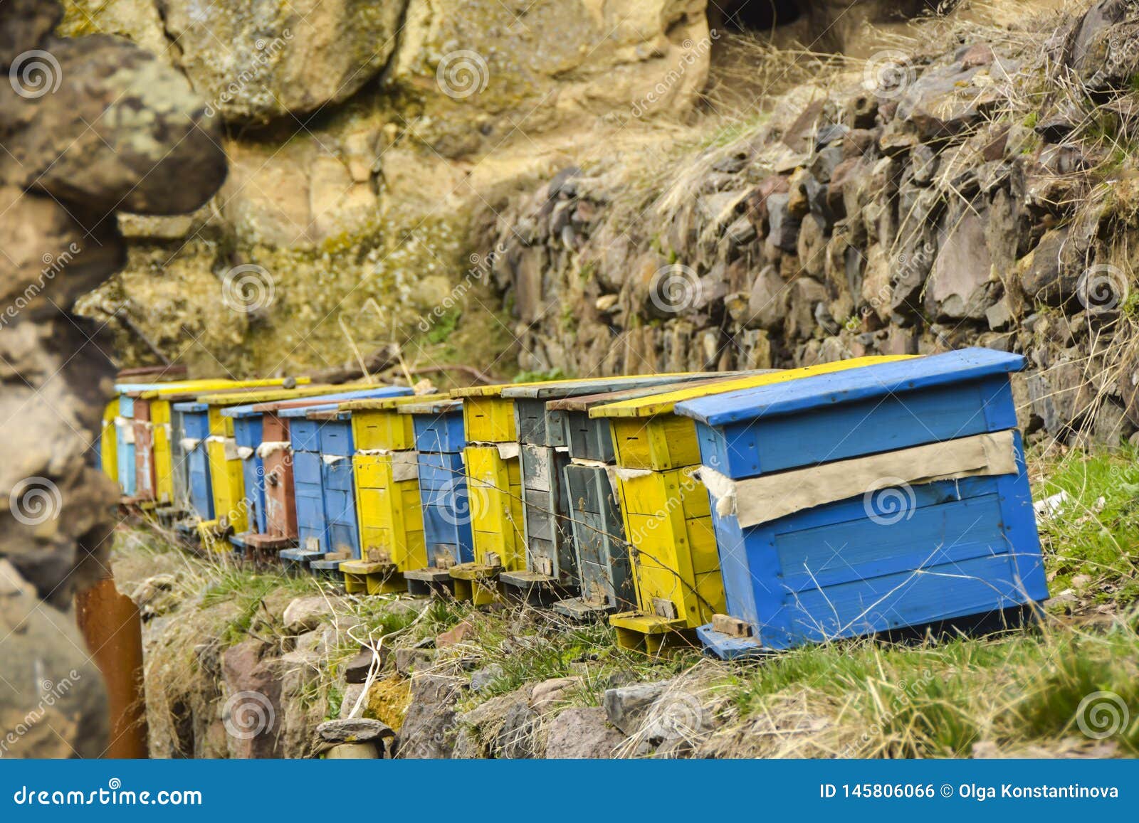 Beehive Crates with Multicolored Bees Stand Farming Abstraction Stock ...