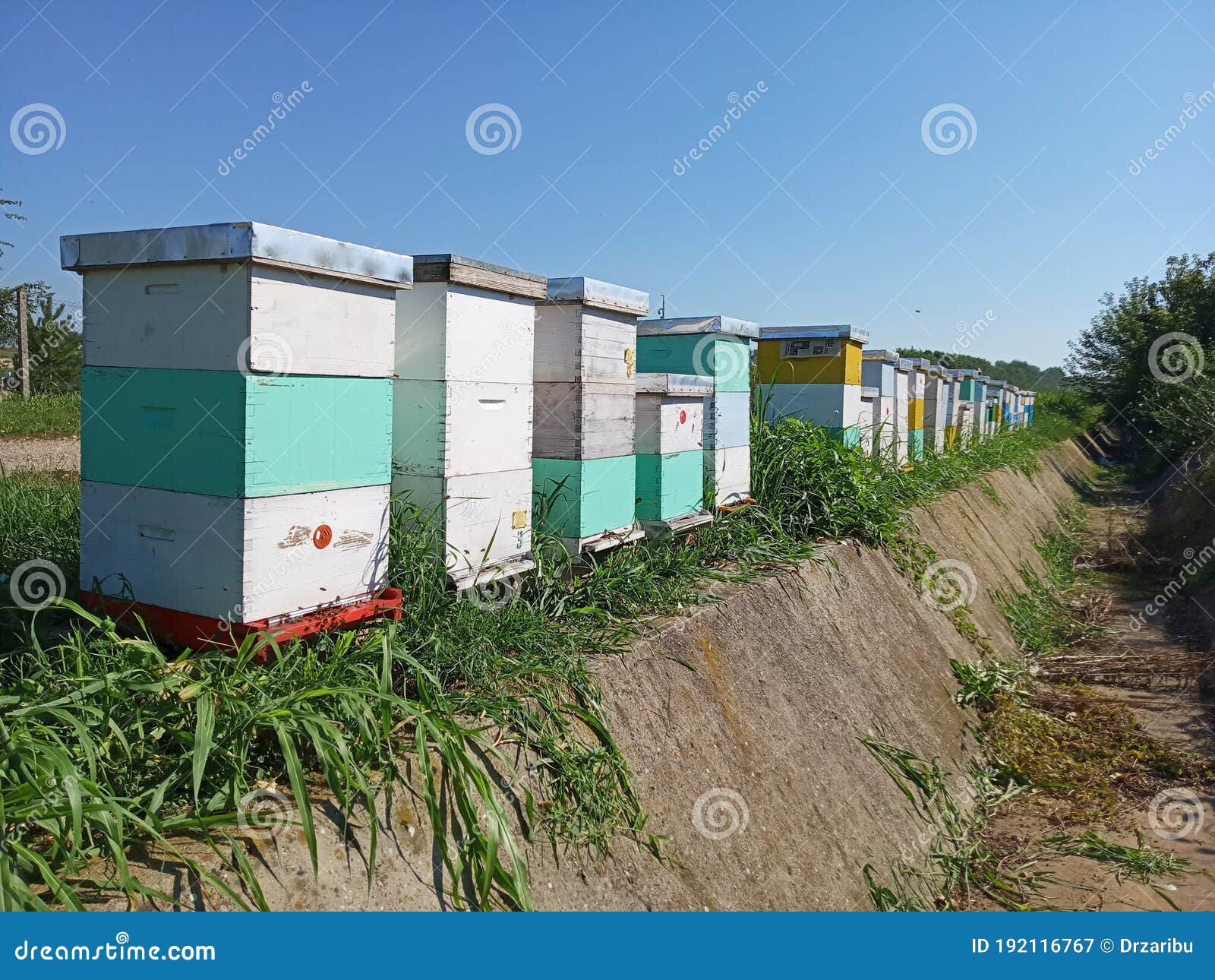 Beehive on field editorial photography. Image of breed - 192116767