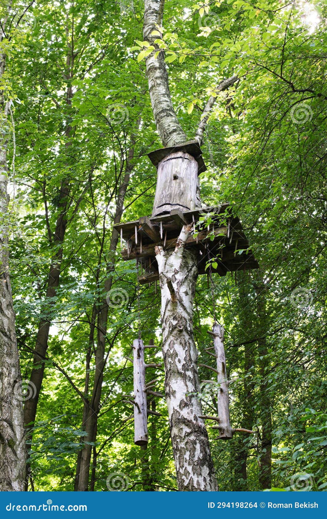 A Beehive in the Forest on a Tall Tree. Stock Photo - Image of tree ...