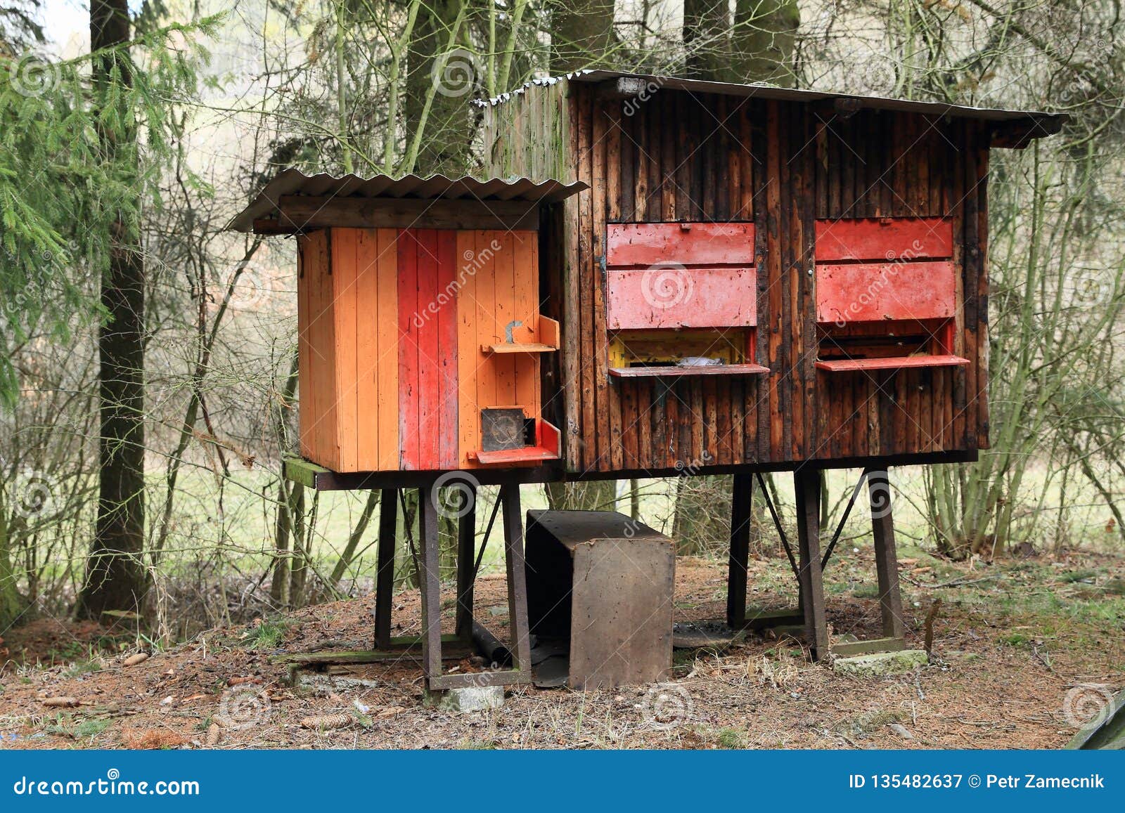 Beehive in forest stock image. Image of green, beehive - 135482637