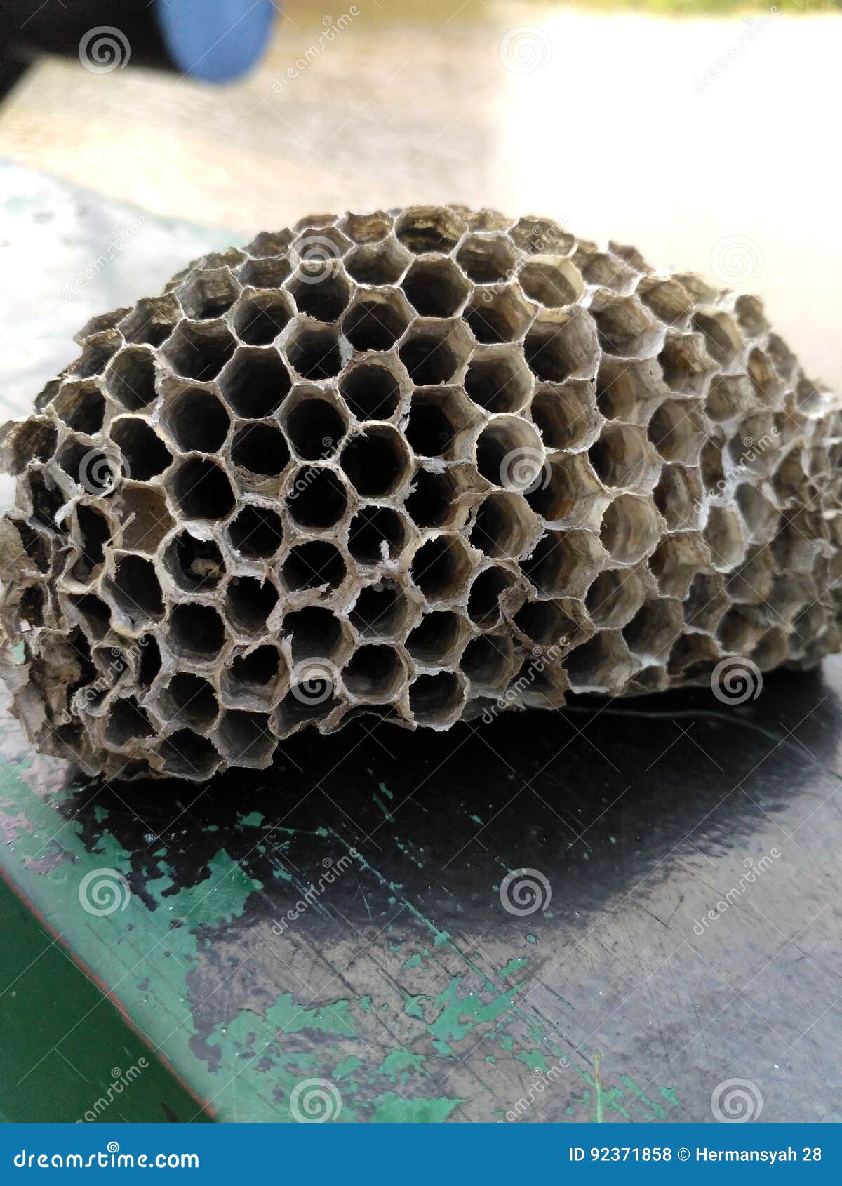 Beehive that Has Been Vacant Stock Photo - Image of organic, wild: 92371858