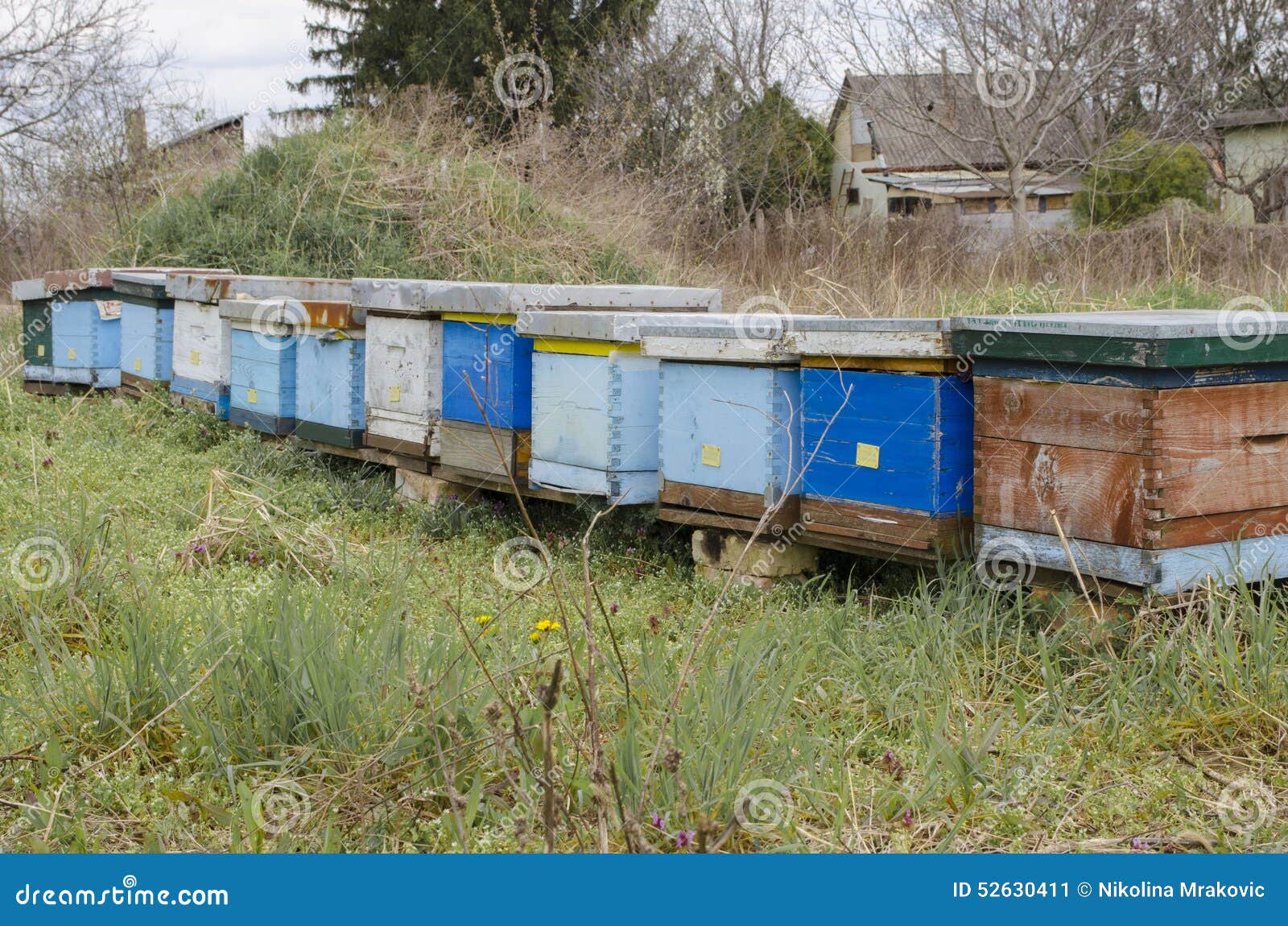 The Beehive, Home To the Honeybee Stock Image - Image of workers, white ...
