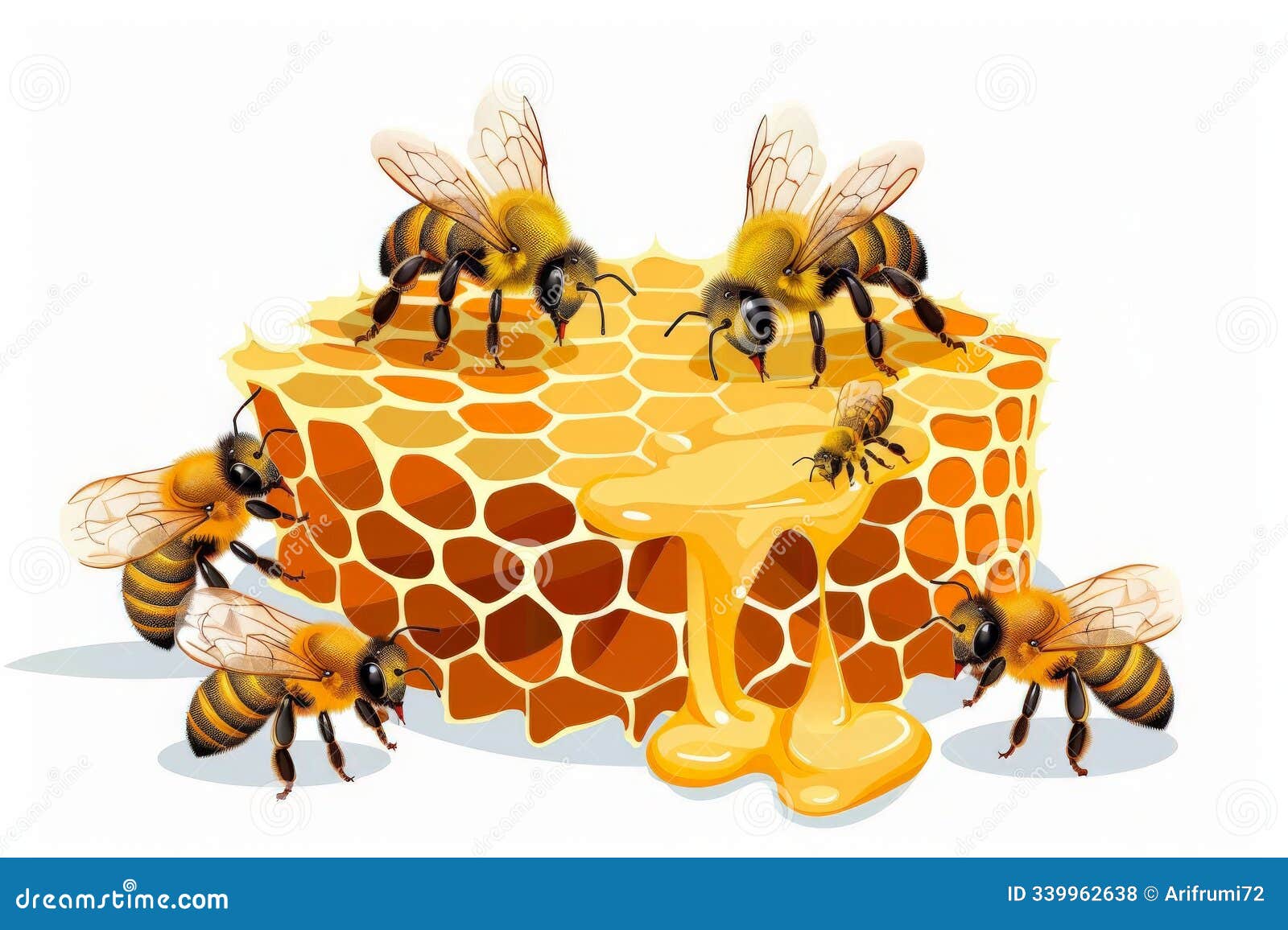 Beehive Honeycomb with Bee Cartoons on White Background Vector ...
