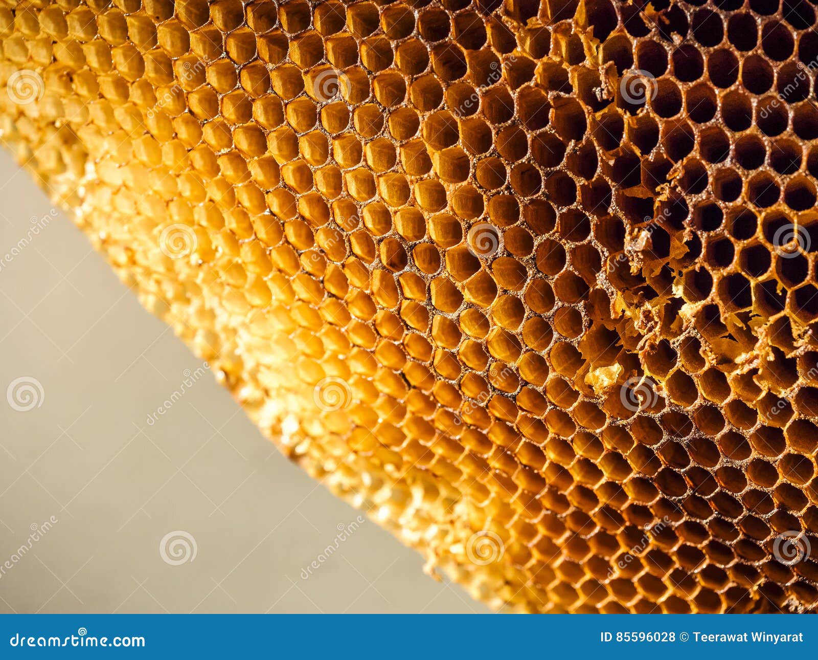 Beehive Honeycomb Textured Close Up Stock Photo - Image of yellow ...