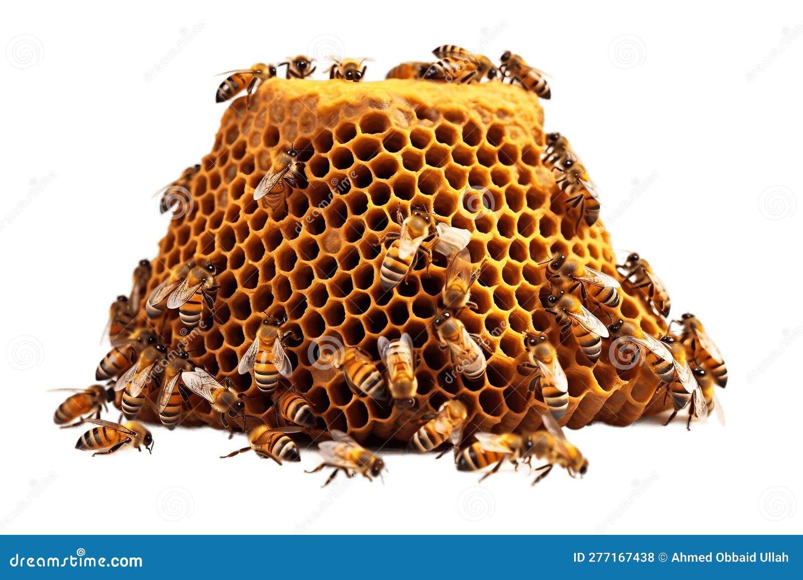 Beehive Isolated On Transparent Background, Generative AI Stock Photo ...