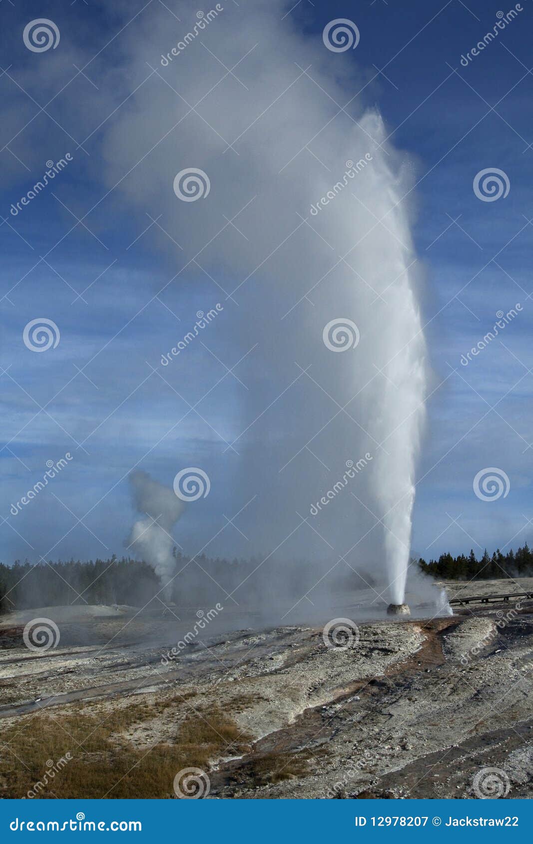 Beehive and Lion Geysers Erupt Stock Image - Image of burst, explosion ...
