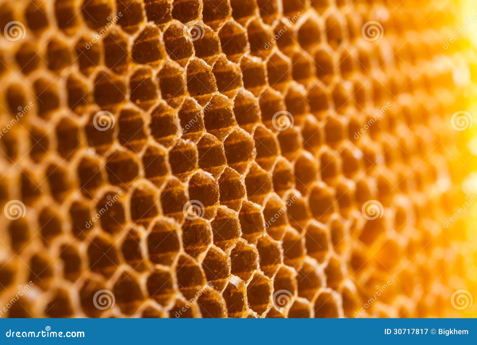 Beehive stock image. Image of beekeeper, efficiency, honeyed - 30717817