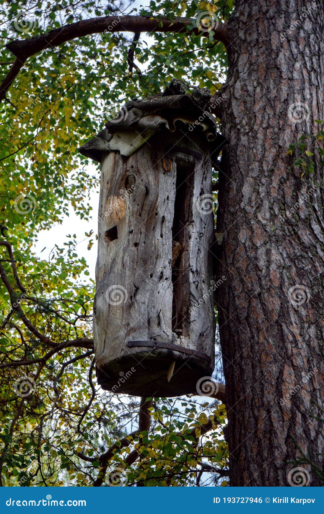 A Beehive Made of a Log Hangs 2 Stock Photo - Image of bees, housing ...