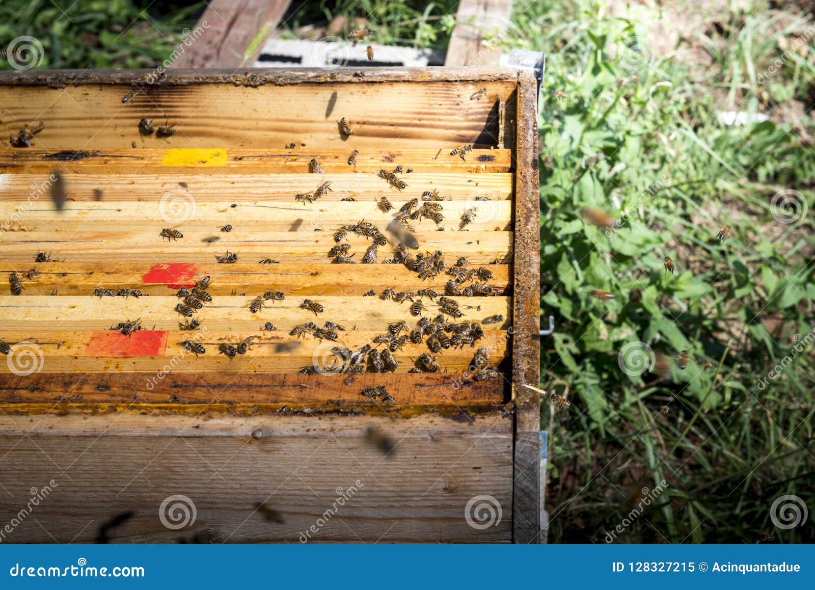 Beehive in the meadow stock image. Image of insect, food - 128327215