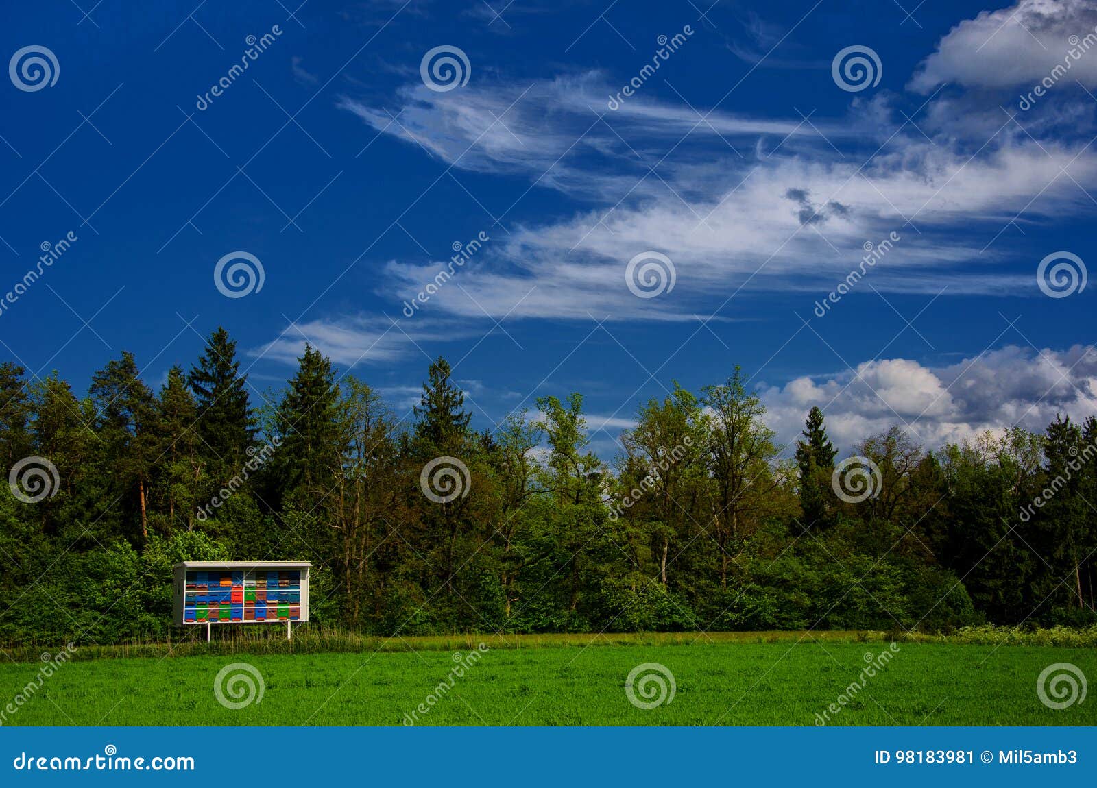 Beehive on a meadow stock image. Image of clouds, scenic - 98183981