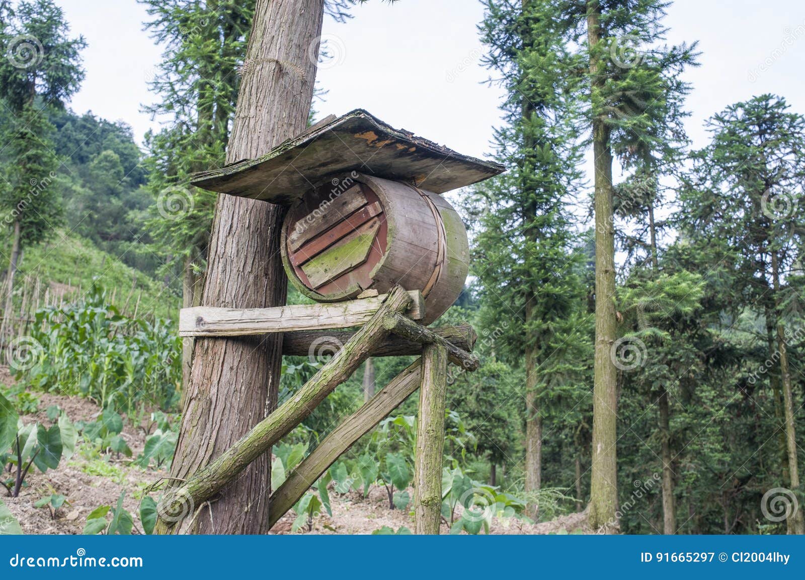 Beehive stock image. Image of honey, mountainous, area - 91665297