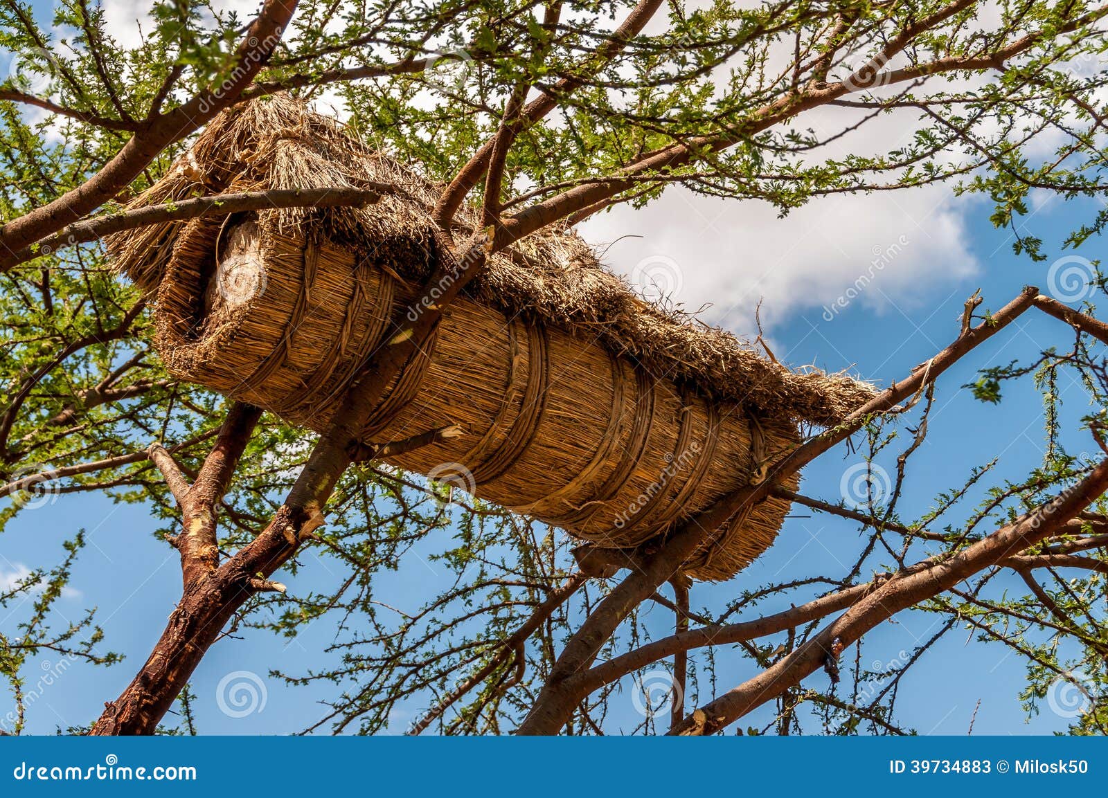 Beehive stock image. Image of honey, traveling, trees - 39734883