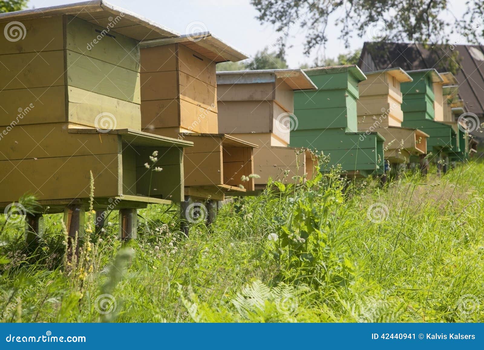 Beehive stock image. Image of honeycomb, keeper, beehive - 42440941