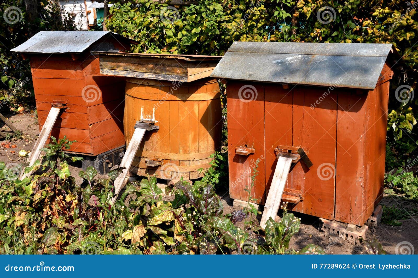 Beehive shaped tubes stock photo. Image of honey, apiary - 77289624