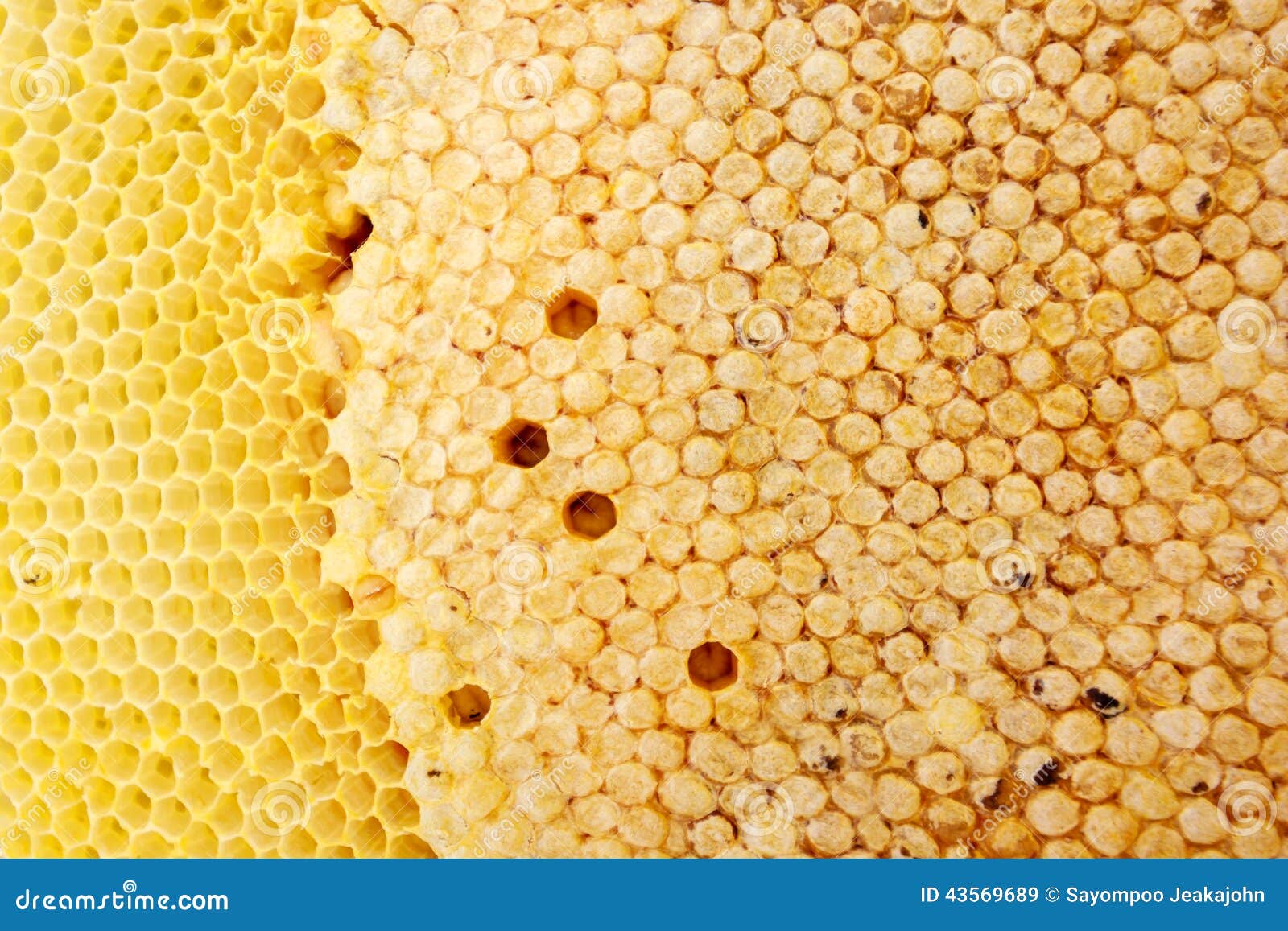 Beehive texture stock image. Image of background, nature - 43569689
