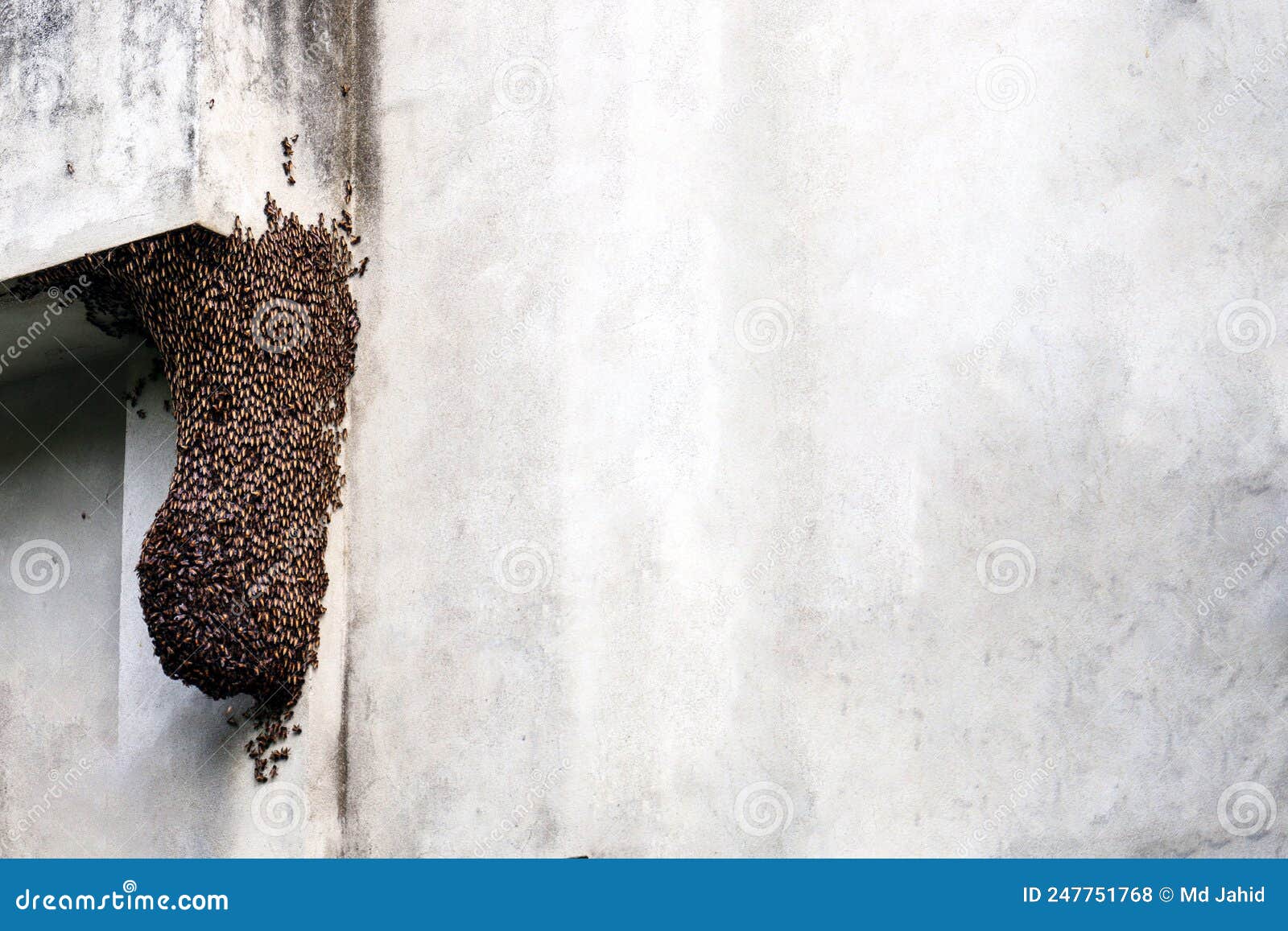 A Beehive on Wall with Hanging Stock Photo - Image of hive, thick ...