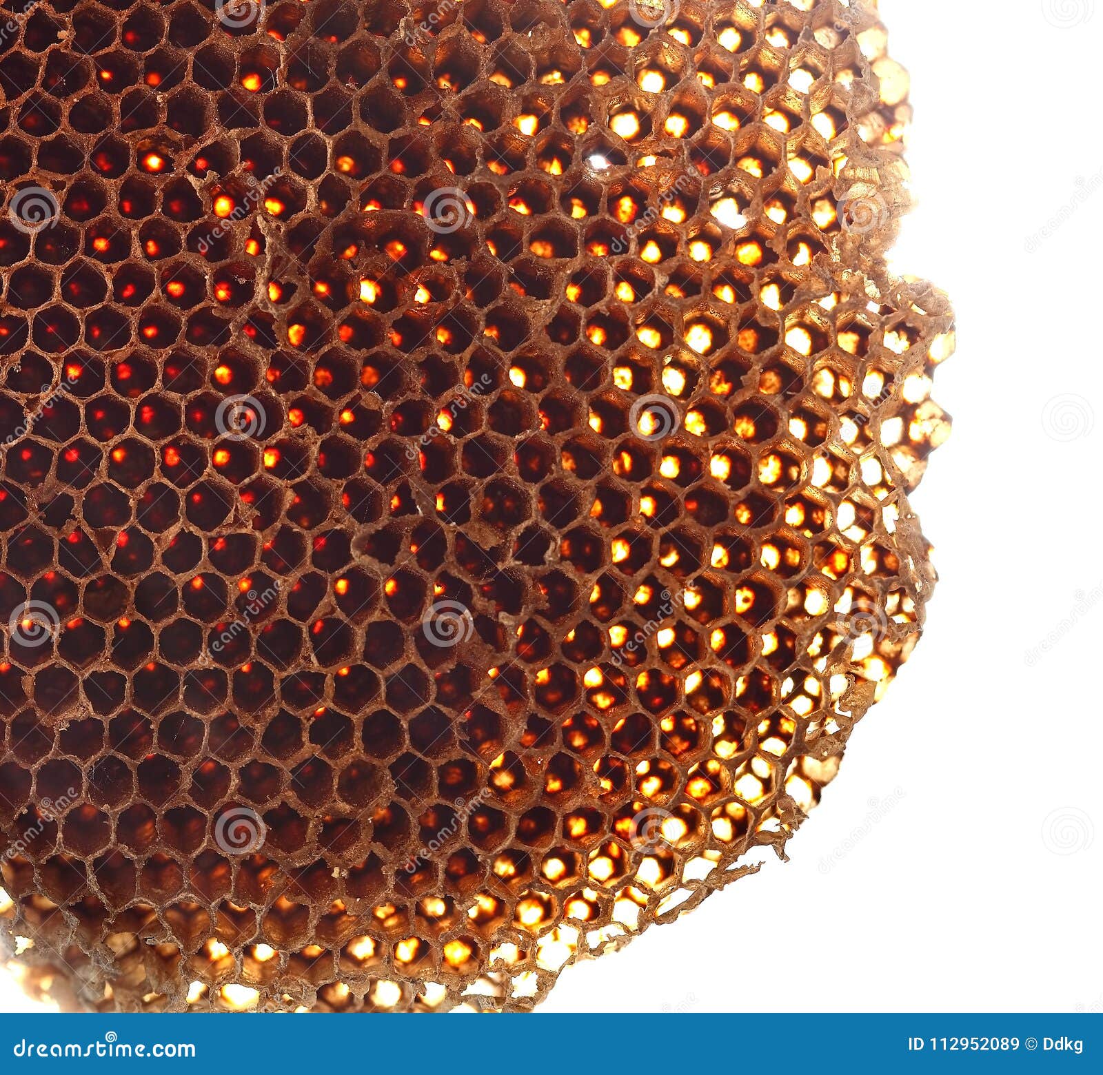 Beehive stock image. Image of hexagon, background, macro - 112952089