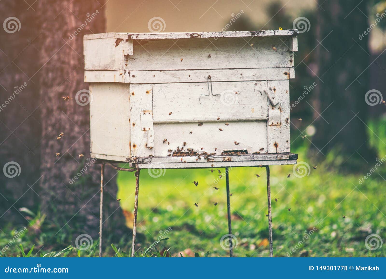 White beehive on lawn stock photo. Image of honey, fresh - 149301778