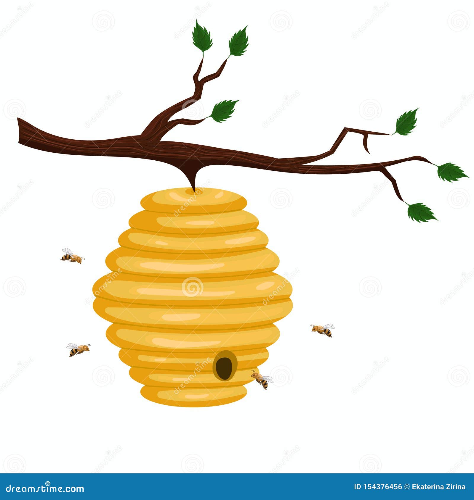Bee Hive Vector