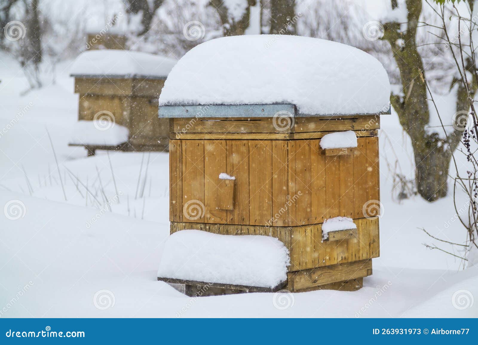 Beehive in winter stock image. Image of winter, white - 263931973