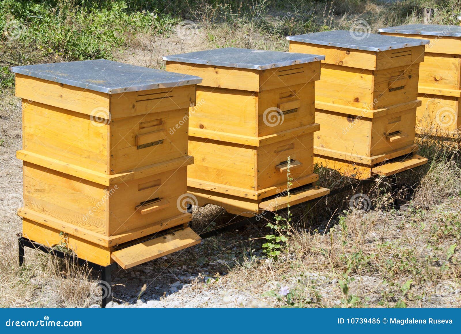 Beehives Royalty-Free Stock Image | CartoonDealer.com #4571842