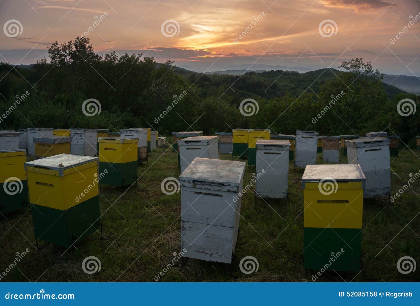 Beehives stock photo. Image of beehive, landscape, natural - 52085158