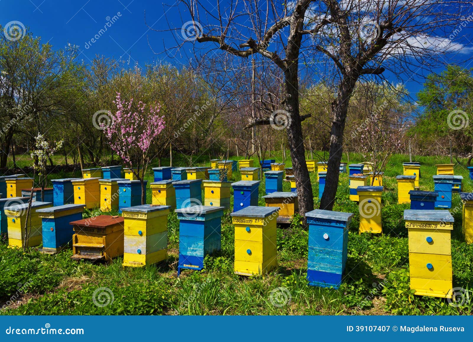 Beehives stock image. Image of animal, cloudy, comb, bees - 39107407