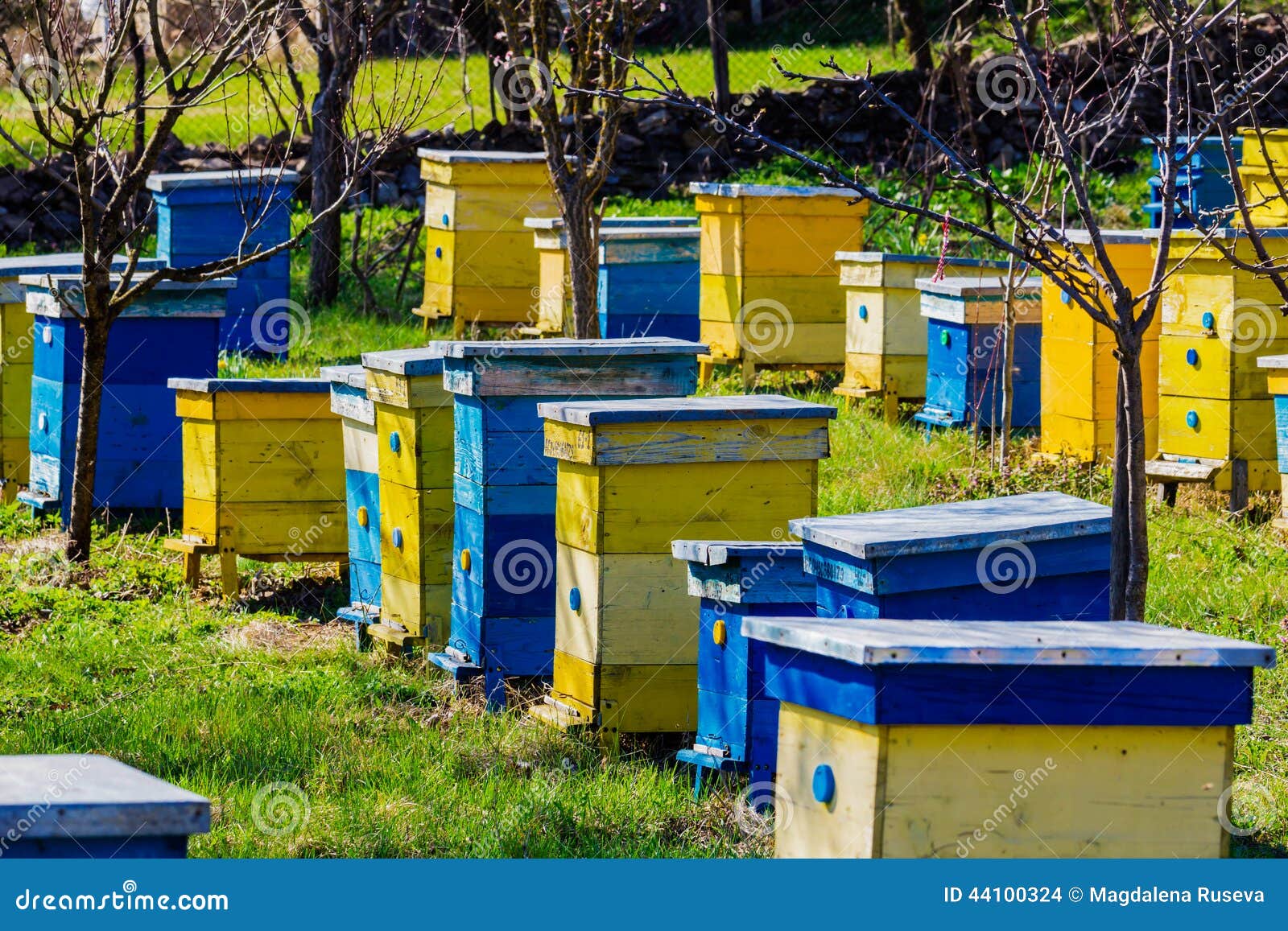 Beehives stock photo. Image of honey, closeup, blue, beekeeping - 44100324