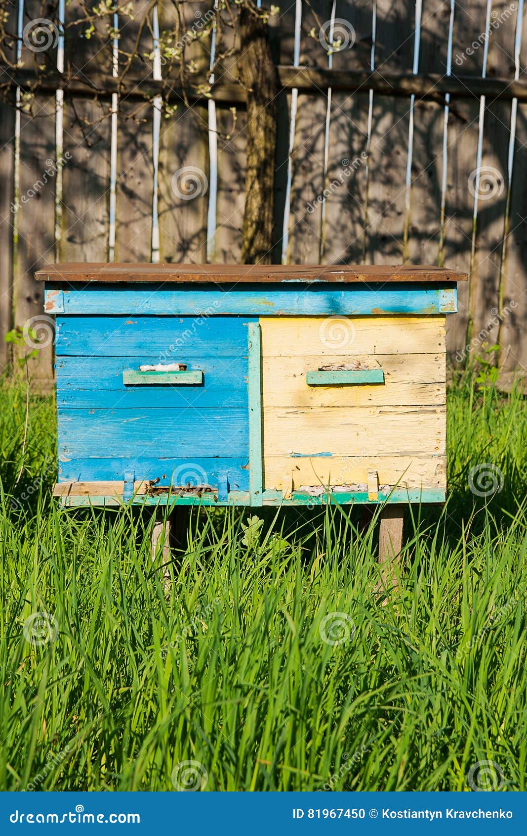Beehives on the Fruit Garden in Ukraine. Stock Photo - Image of green ...